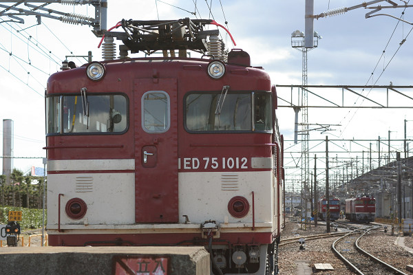 ED75 1012
